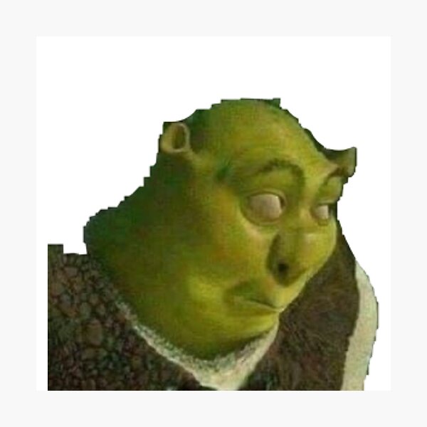 "Shrek Meme" Photographic Print by eva-aestheticcc | Redbubble
