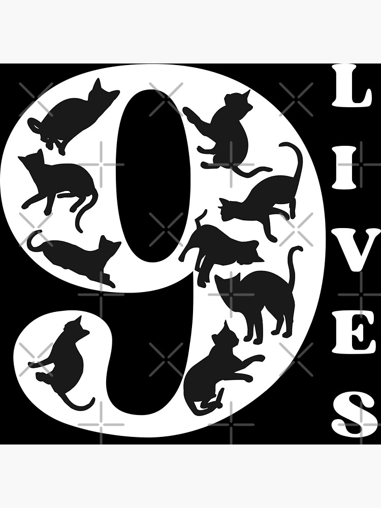 "9 LIVES - Funny Cat Pictures, A cat has nine lives" Poster for Sale by ...