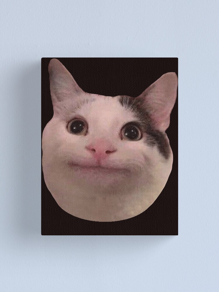 "smiling polite cat meme" Canvas Print for Sale by Kawaii2cute | Redbubble