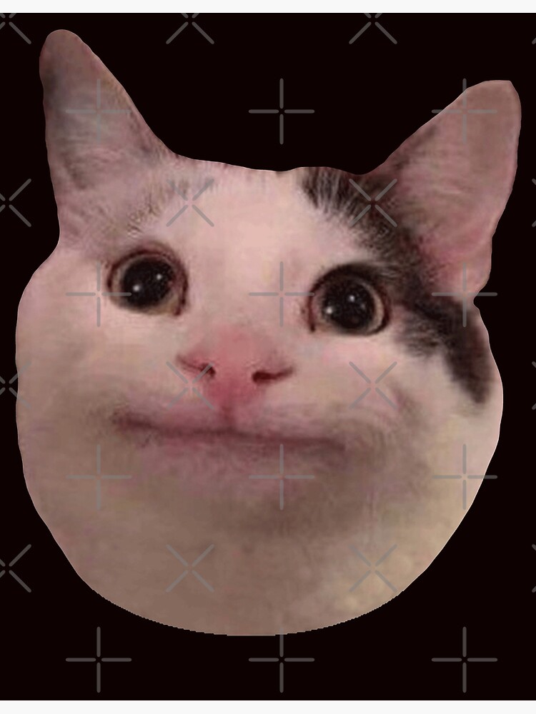 "smiling polite cat meme" Canvas Print for Sale by Kawaii2cute | Redbubble