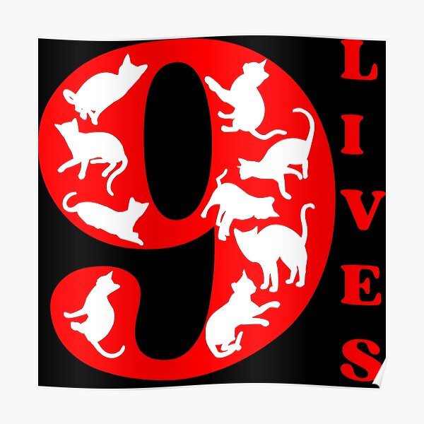 "9 LIVES - Funny Cat Pictures, A cat has nine lives" Poster for Sale by ...
