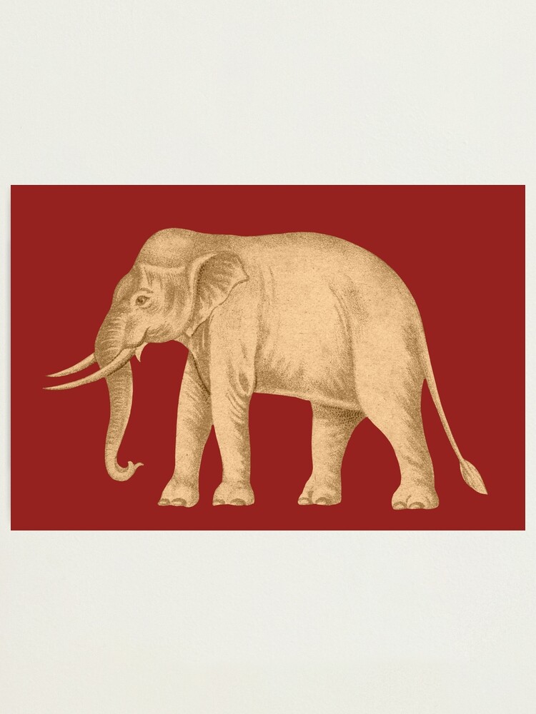 "A White Elephant on the Red Field. -- The Siam / Thailand White ...