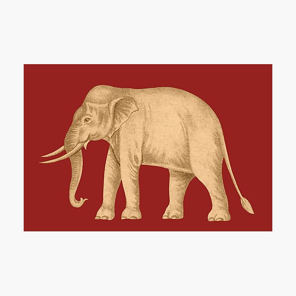"A White Elephant on the Red Field. -- The Siam / Thailand White ...