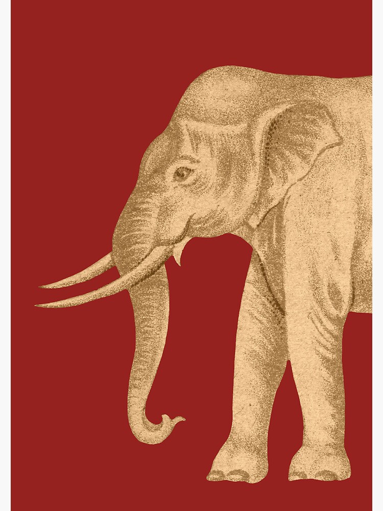 "A White Elephant on the Red Field. -- The Siam / Thailand White ...