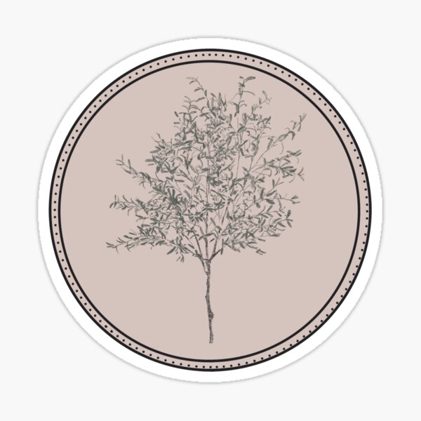 "Aberquina Olive tree" Sticker for Sale by Orchardhouseart | Redbubble