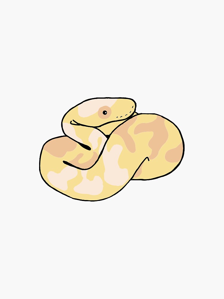 "Ball python sticker " Sticker for Sale by DrawtillUDrop | Redbubble