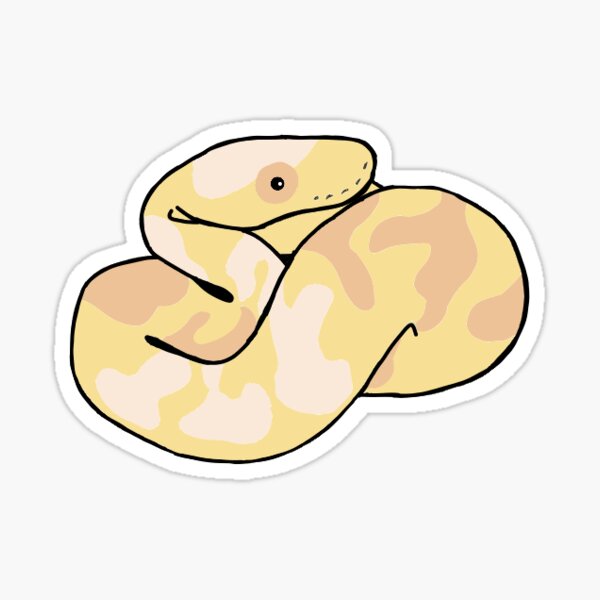 "Ball python sticker " Sticker for Sale by DrawtillUDrop | Redbubble