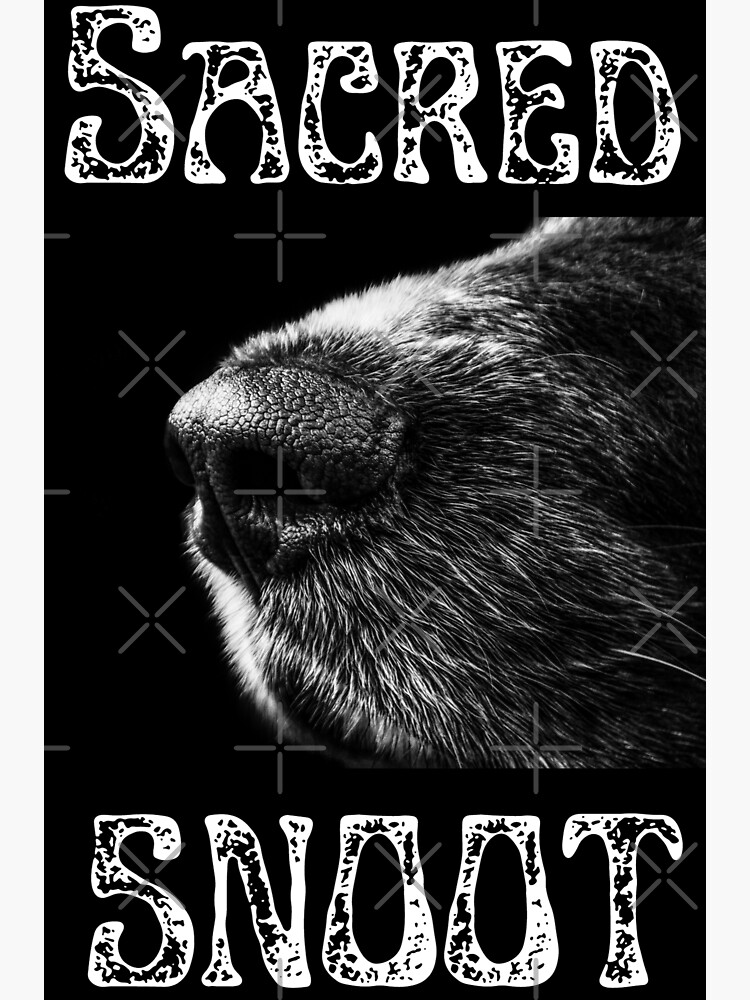 "Sacred Snoot" Sticker by Druxied | Redbubble
