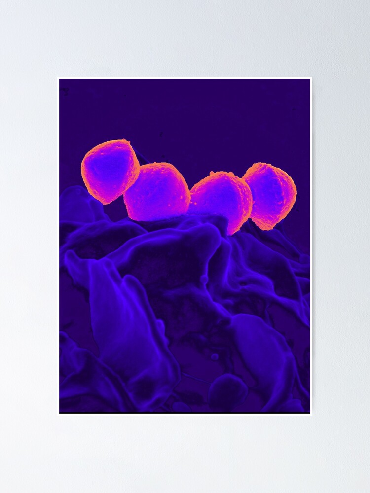 "Neon cells" Poster for Sale by AvasMix | Redbubble