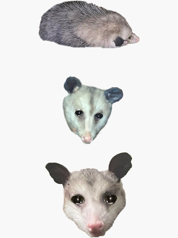 "sad possum pack" Sticker by crazylazygirl | Redbubble