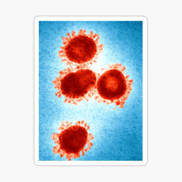 "Red blood cells" Sticker for Sale by AvasMix | Redbubble