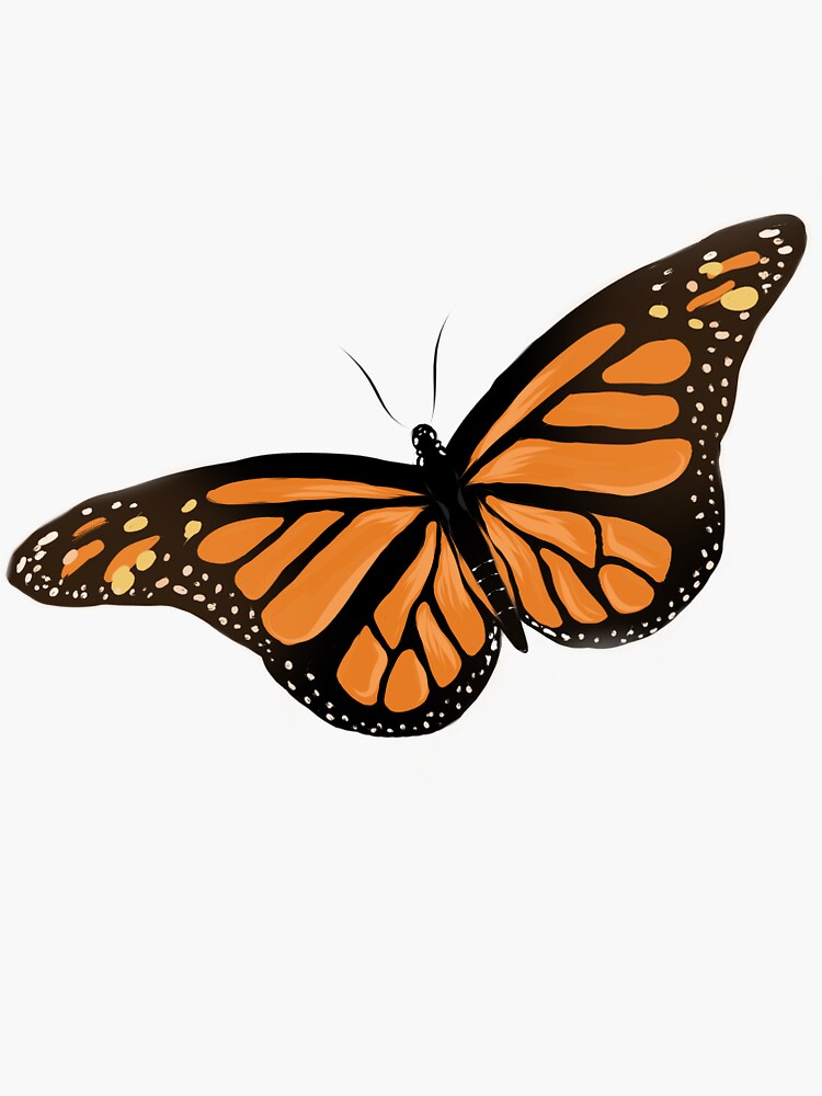Open Winged Monarch Butterfly Sticker For Sale By Ivanabowyer Redbubble