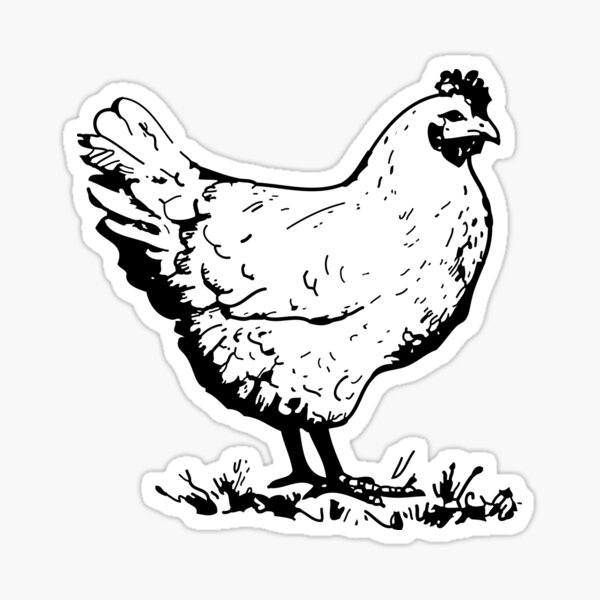 Chicken Stickers | Redbubble