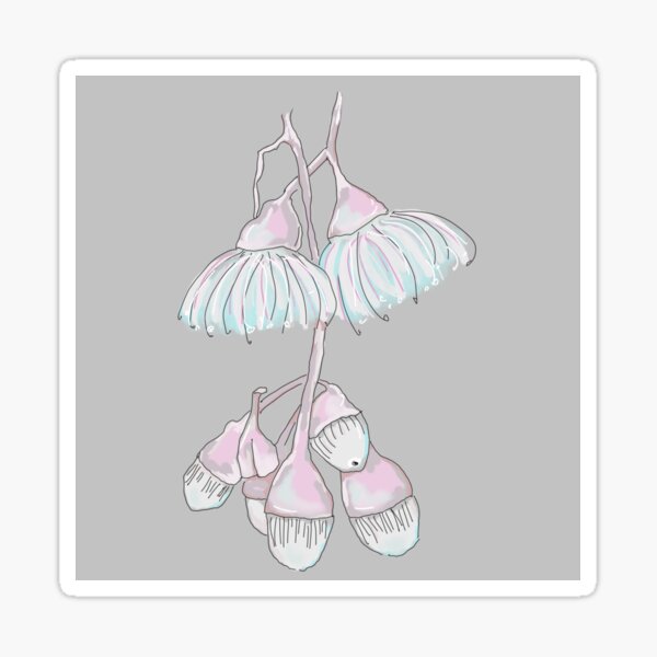 "Australian flowers pastel" Sticker by Rebeccasdigart | Redbubble