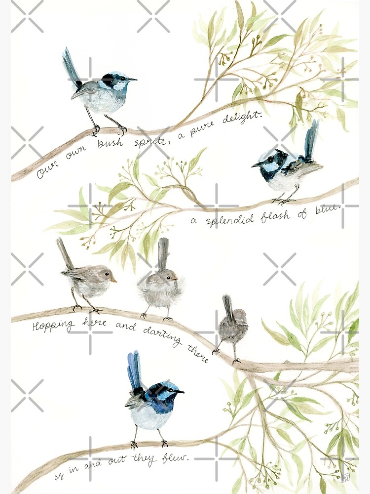 "Bush Sprite" Poster for Sale by Art-by-Meredith | Redbubble