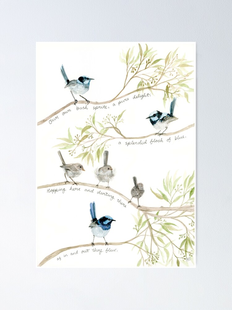 "Bush Sprite" Poster for Sale by Art-by-Meredith | Redbubble