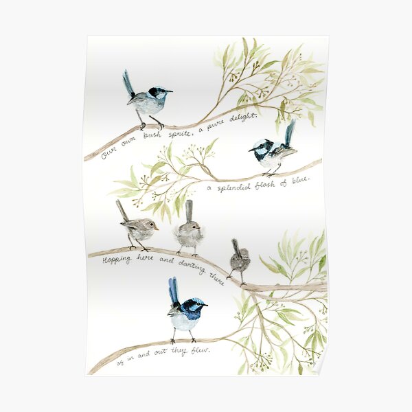 "Bush Sprite" Poster for Sale by Art-by-Meredith | Redbubble