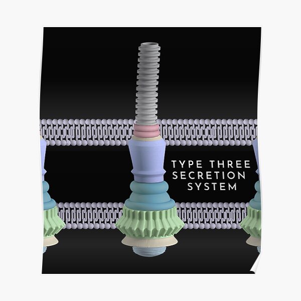 "Type three secretion system" Poster by microBact-RS | Redbubble
