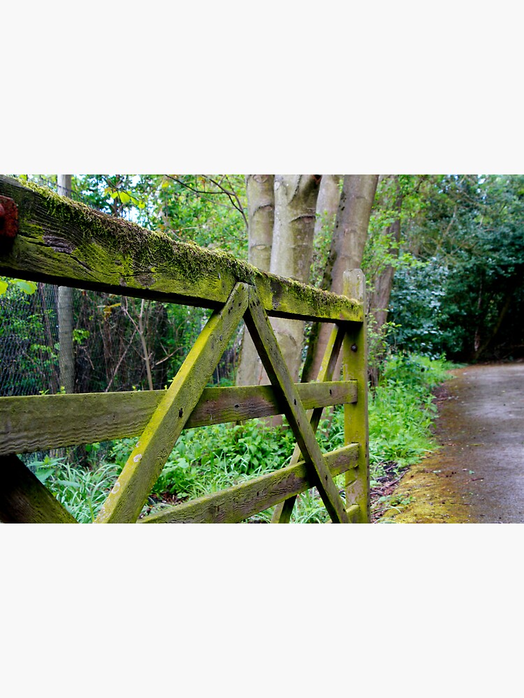 "The Way is Open" Sticker for Sale by jwwallace | Redbubble