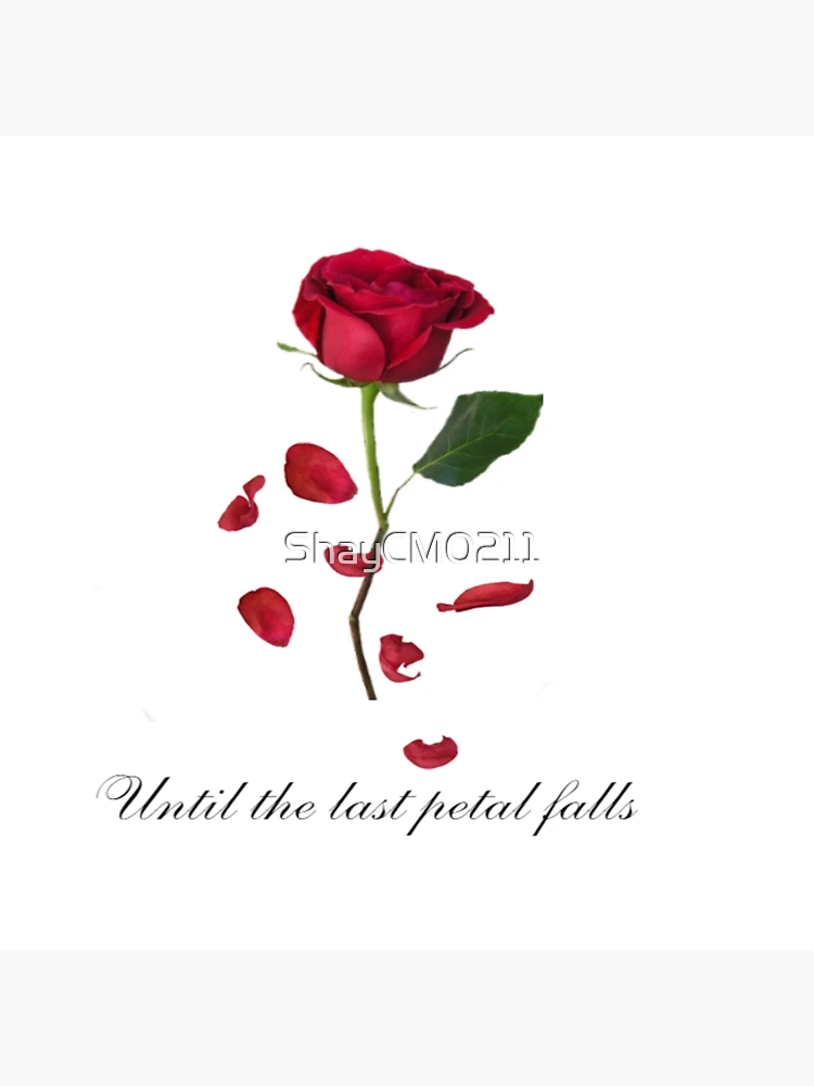 Until The Last Petal Falls Quote