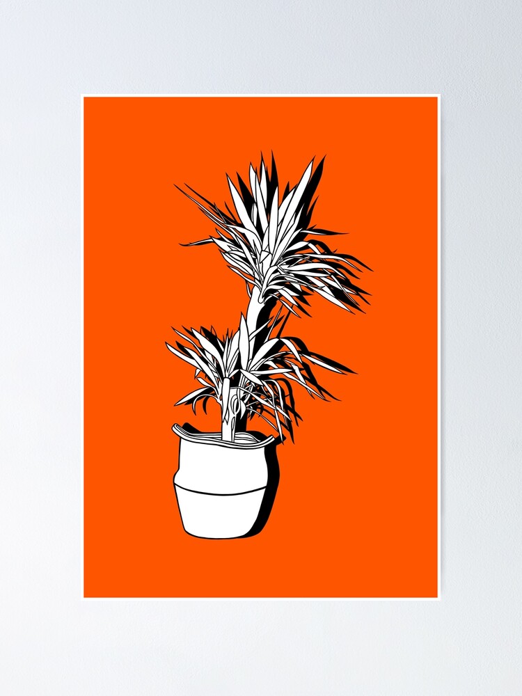 "Yucca Plant in Pot, Black and White on Burnt Orange" Poster by ...