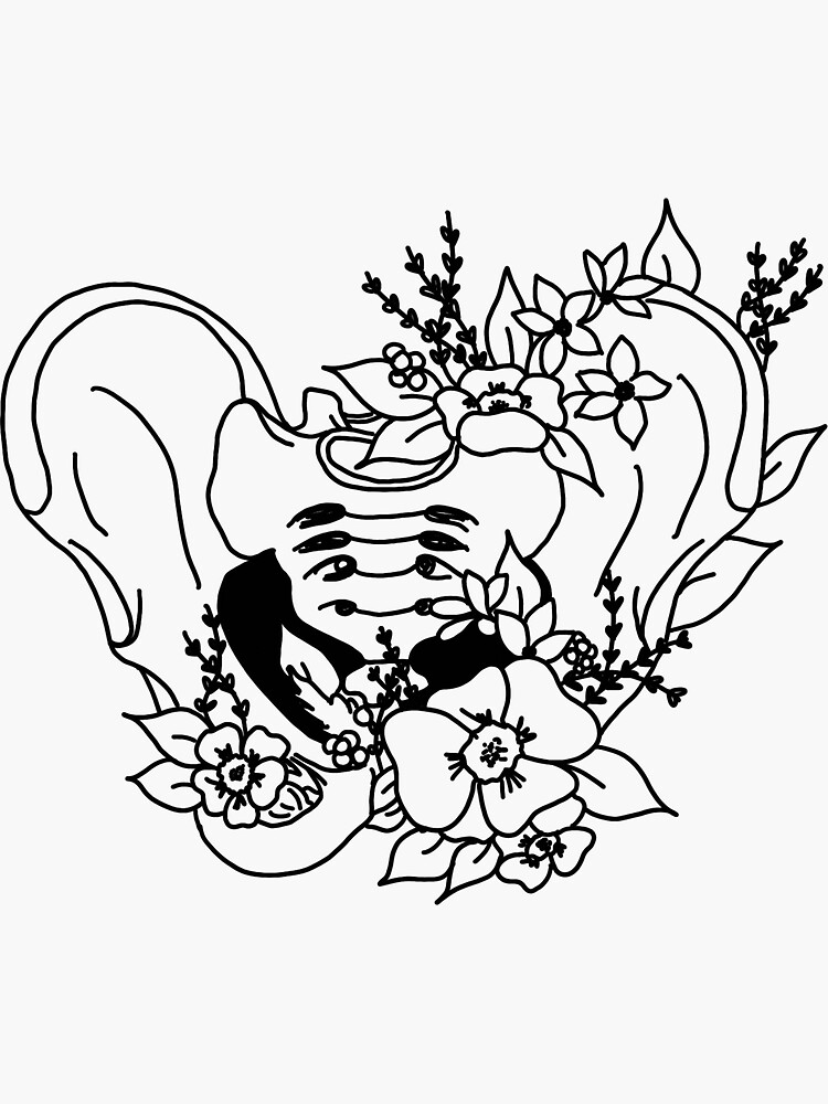 "Addison Montgomery Pelvis Drawing" Sticker for Sale by JunkieBFFs ...