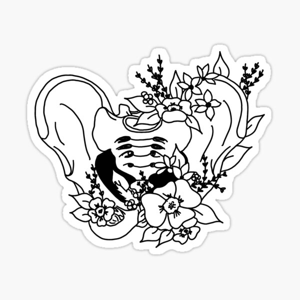 "Addison Montgomery Pelvis Drawing" Sticker for Sale by JunkieBFFs ...