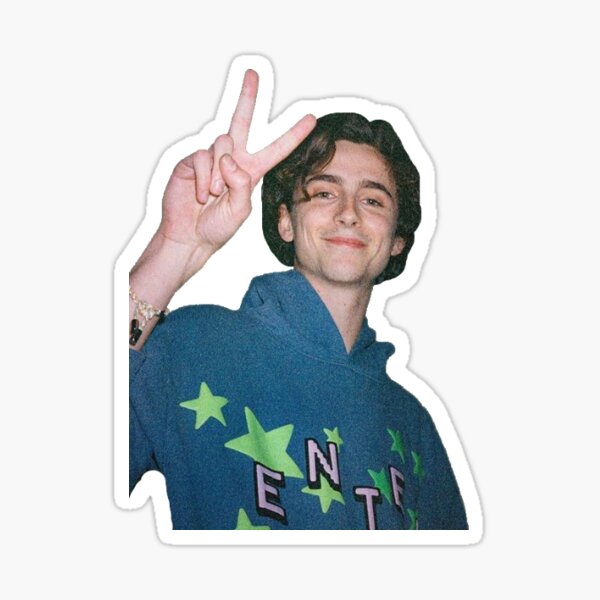 "timothee chalamet cute peace sign" Sticker for Sale by meghandanielle ...