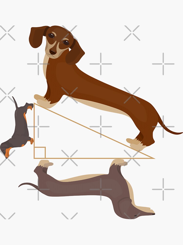 "Pythagoras theorem Dachshund - unisex - teacher gift - math - science ...