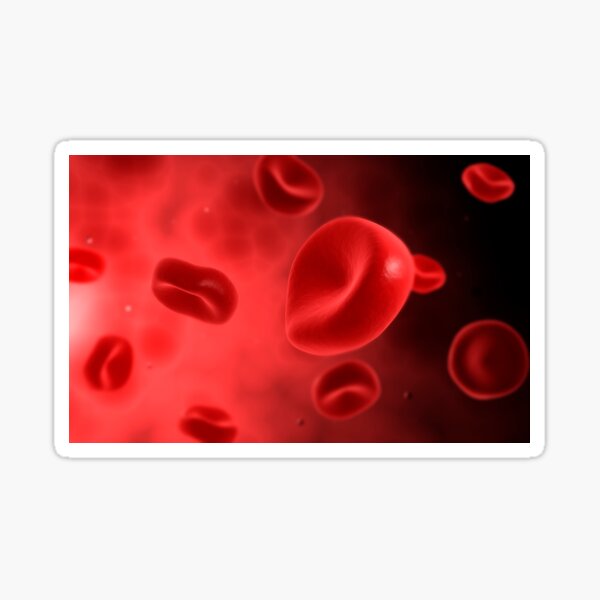 "Microscopic view of red blood cells." Sticker for Sale by ...