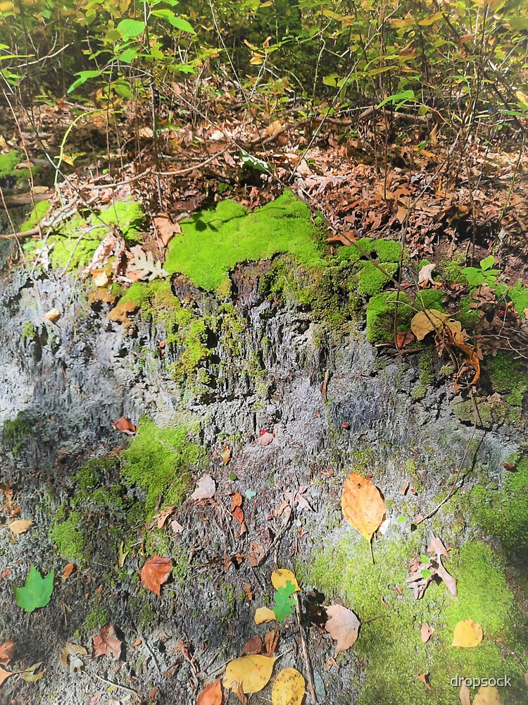 "Forest Moss" Sticker by dropsock | Redbubble