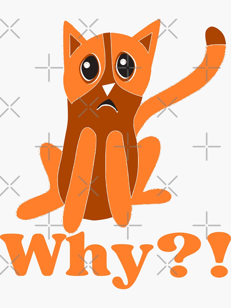 "WHY - Funny Cat Pictures" Sticker by FunnyCatsFam | Redbubble
