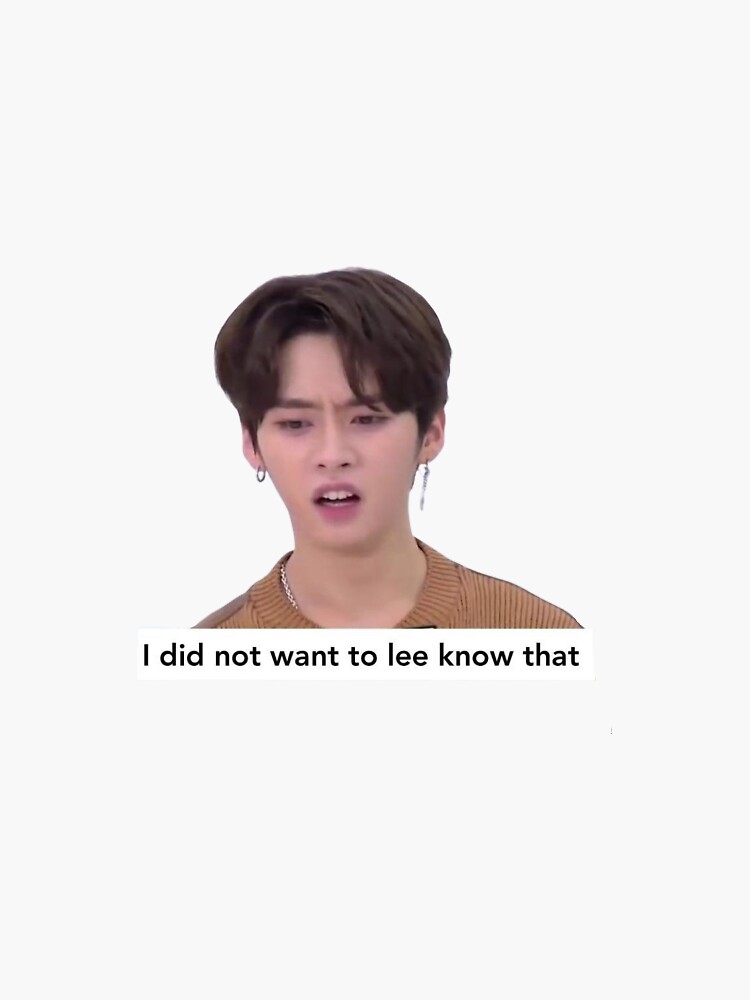 "Stray Kids Lee Know Meme" Sticker for Sale by aceandjack | Redbubble