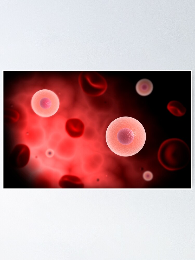 "Microscopic view of plasma cell inside blood vessel." Poster by ...