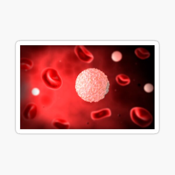 "Microscopic view of white blood cells inside blood vessel." Sticker ...