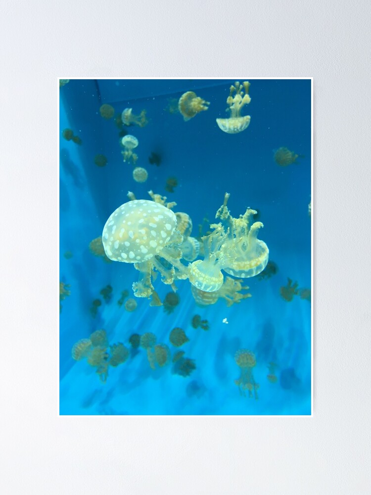 "Yellow Spotted Jellyfish" Poster for Sale by InBlume | Redbubble
