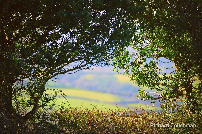 "" Through A Country Window "" by Richard Couchman | Redbubble