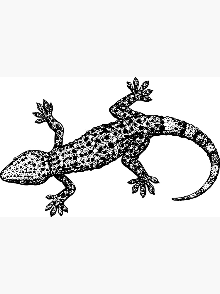 "Lizard Drawing" Art Print for Sale by seriouscereal | Redbubble