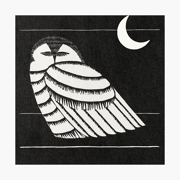 Lámina fotográfica «Búho nival (Sneeuwuil) (1927) | Blanco y negro de ...