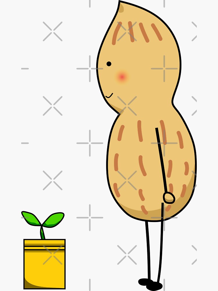 "peanut " Sticker by Sydneycc | Redbubble