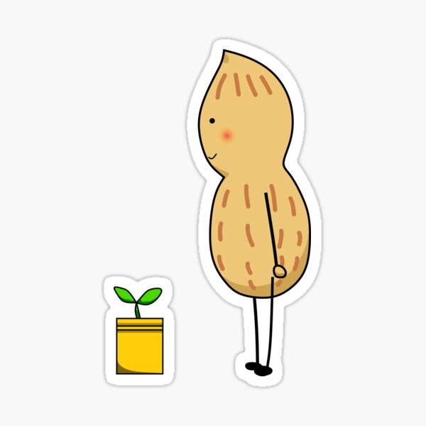 "peanut " Sticker by Sydneycc | Redbubble