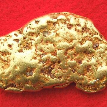 "gold nugget " Sticker for Sale by Singerevita | Redbubble