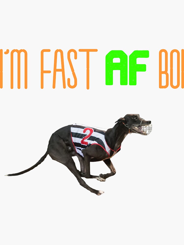 "I'm FAST AF BOI Racing Greyhound" Sticker for Sale by M1lkslyvan ...