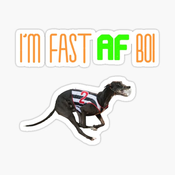 "I'm FAST AF BOI Racing Greyhound" Sticker for Sale by M1lkslyvan ...