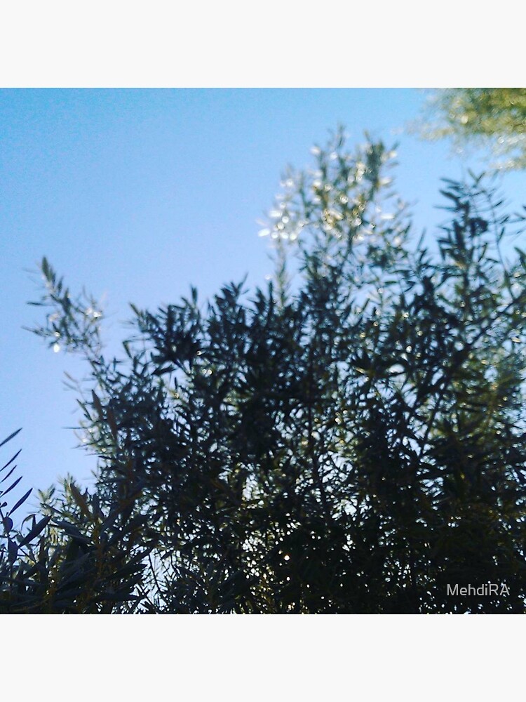 "olive tree" Sticker for Sale by MehdiRA | Redbubble