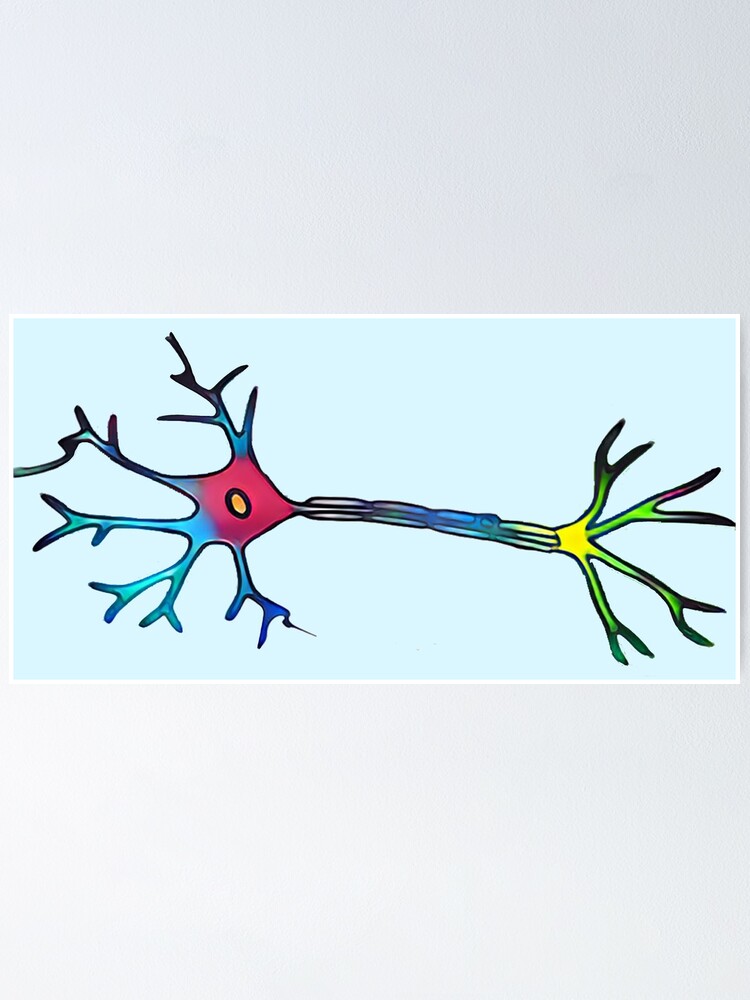 "Neuron color" Poster by AnisettedelSOL | Redbubble