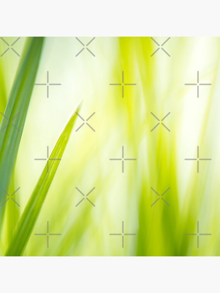 "grass, pasture, lea, shieling, paddock, blade of grass, macro,Fű, mező ...