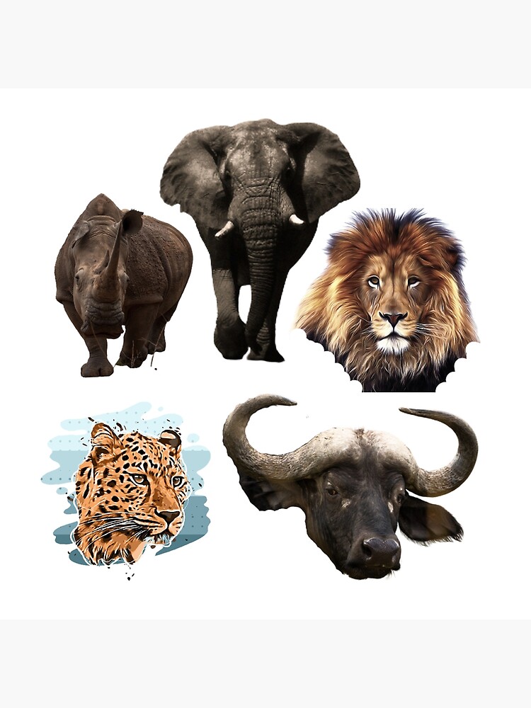 Póster «BIG Five of Africa, animales, cinco grandes, elefante, regalo ...