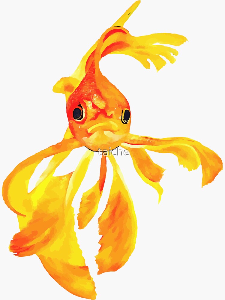 "Cute Fantail Goldfish Vector Art" Sticker by taiche | Redbubble