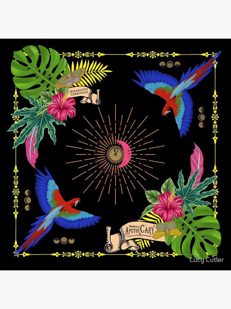 "'STARBURST' In - MIDNIGHT PARROT - Bright & original artwork By Mrs C ...